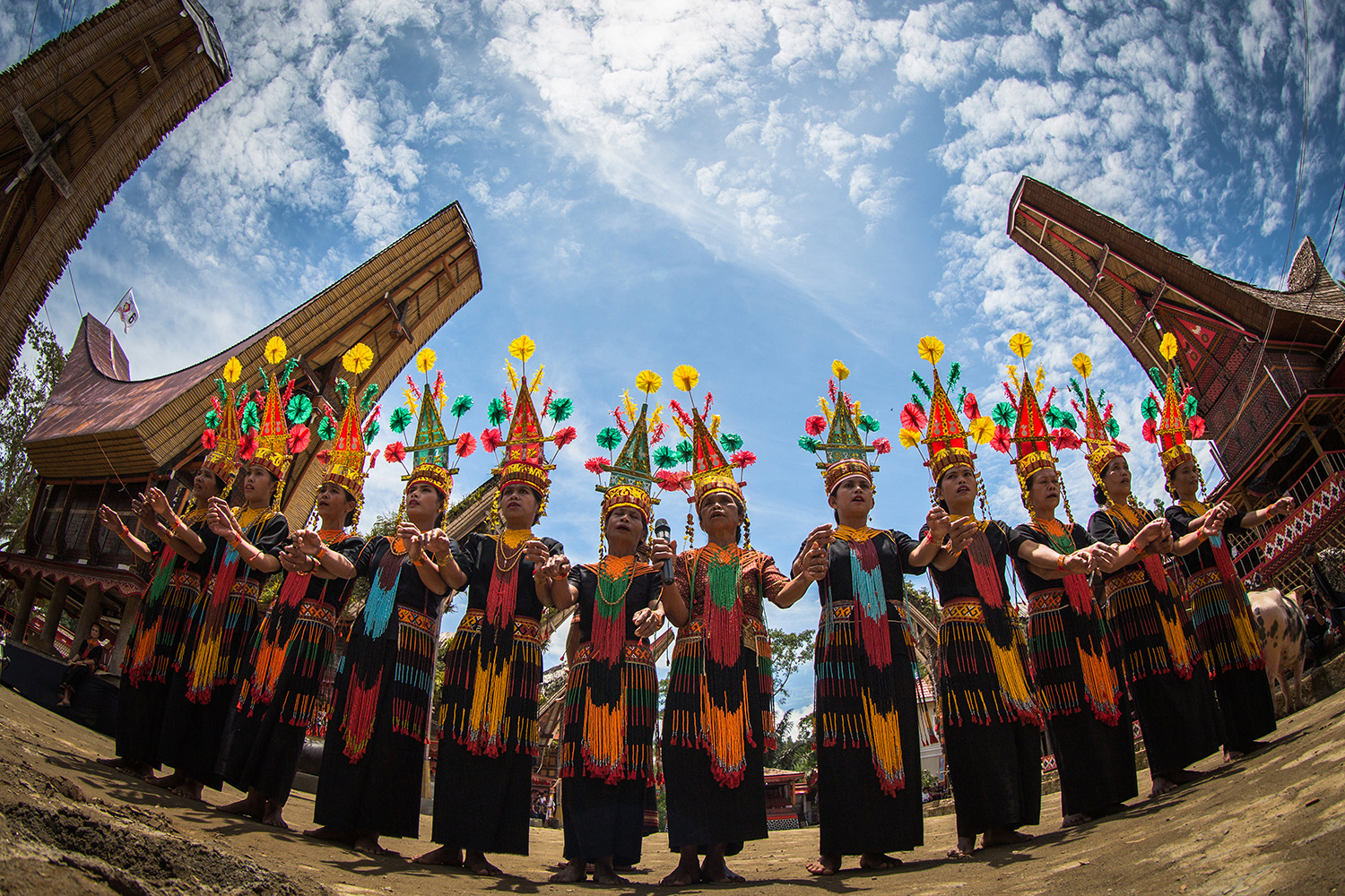 Tari Manimbong: Warisan Budaya Toraja Yang Penuh Makna Dan Keindahan » Ldat
